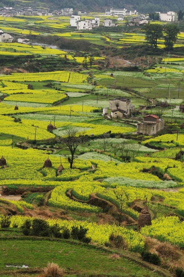 Spring in village stock photo. Image of countryside, endless - 3525872