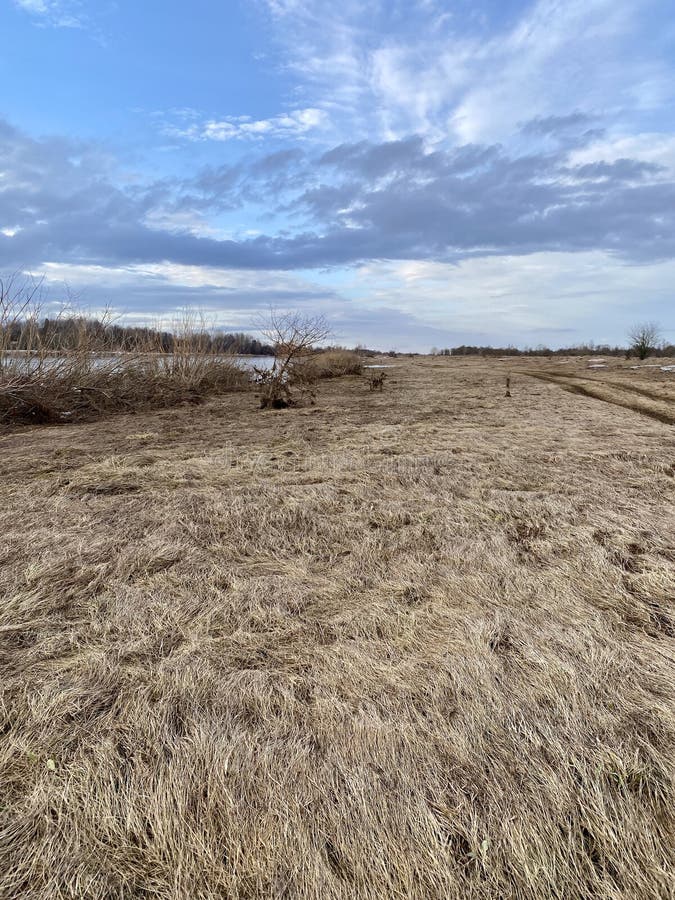 Spring Village Landscape: Blue Sky in the Clouds and Dry Grass on the ...