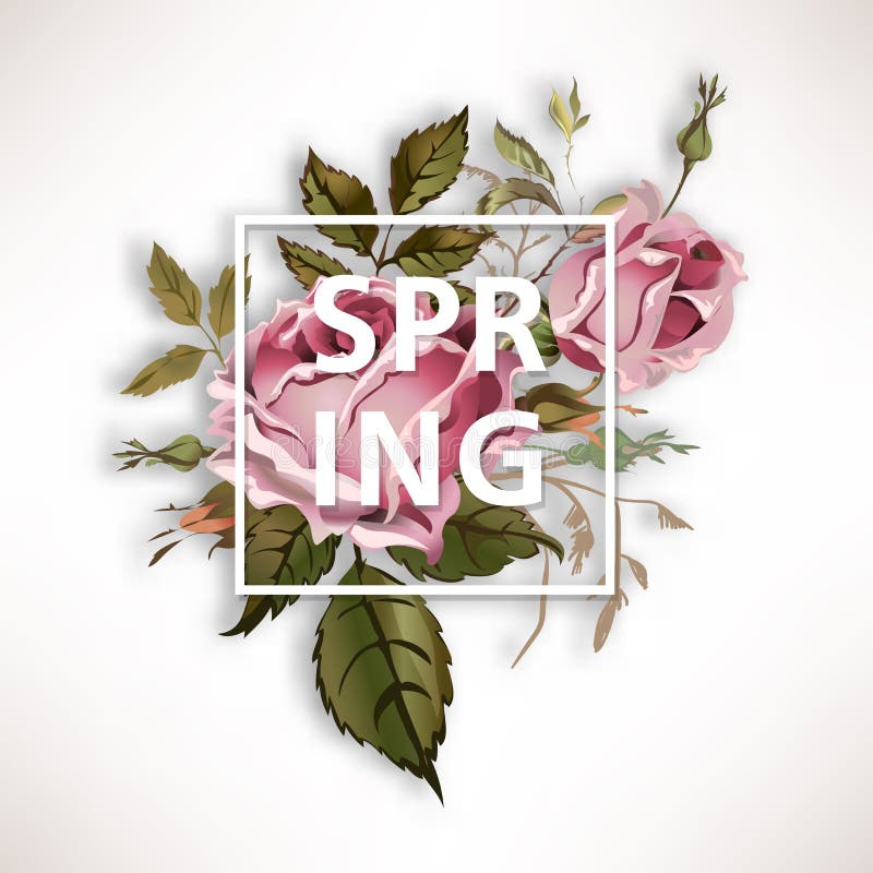 Spring Vintage Illustration Stock Vector - Illustration of isolated ...