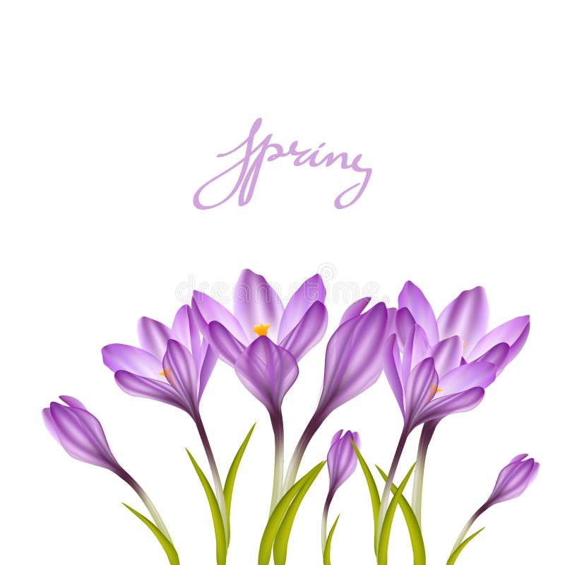 Spring Violet Fairy stock illustration. Illustration of wings - 12999975