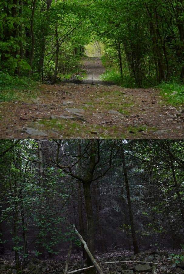 Spring vs winter stock image. Image of contrast, climate - 78602463