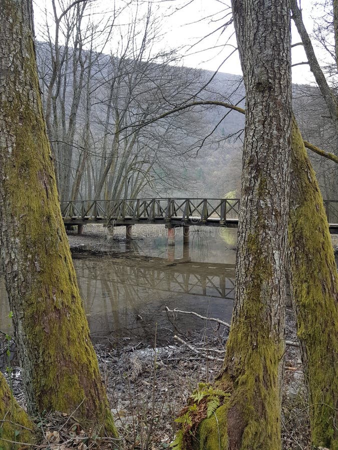 Spring is Waking Up at Bosna River Valley Stock Image - Image of valley ...