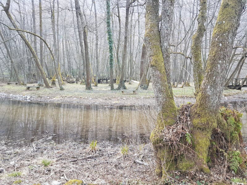 Spring is Waking Up at Bosna River Valley Stock Photo - Image of river ...