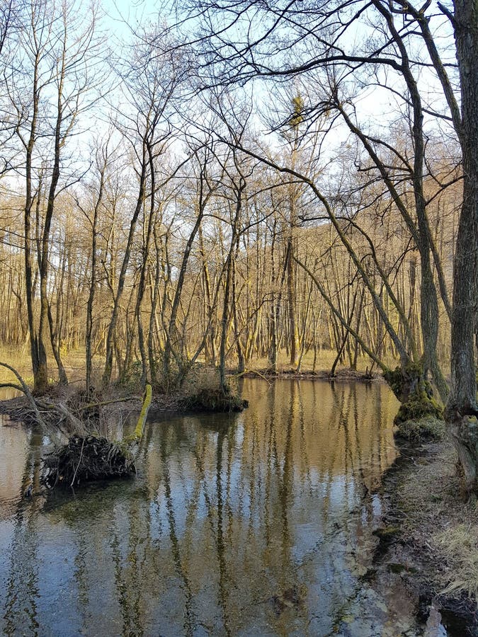 Spring is Waking Up at Bosna River Valley Stock Photo - Image of waking ...