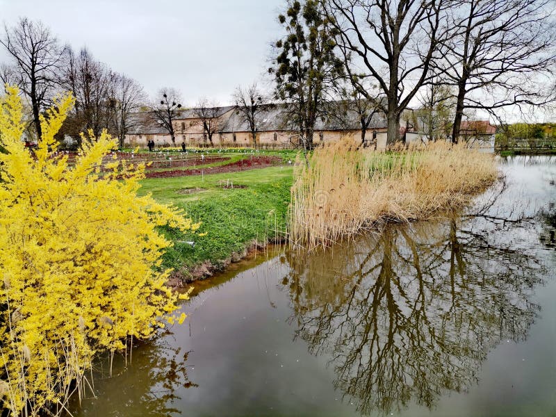 Spring is waking up stock image. Image of landscape - 264430079