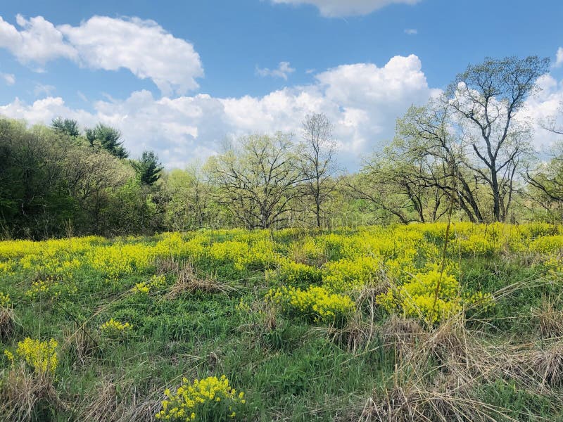 Spring walk in PA stock image. Image of colonel, landscape - 247441005
