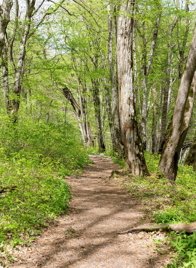 The Beginning of the Summer Season, Nature Walks, Panoramic Views ...