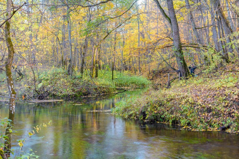 Spring water stock photo. Image of ecosystem, watercourse - 93228334
