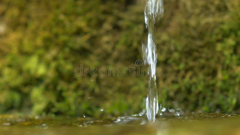 Spring Water Dribbles on Moss in Slow Motion Stock Video - Video of ...