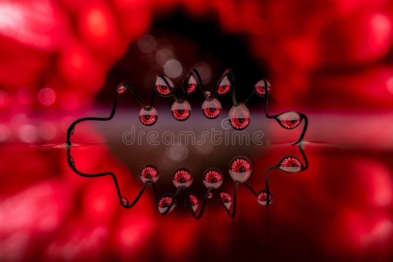 Spring with Water Droplets on it with Flower Refraction and Reflection ...