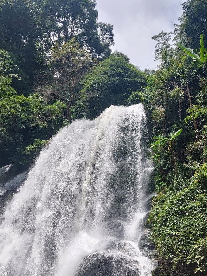 Spring water fall stock photo. Image of green, fall - 369766854