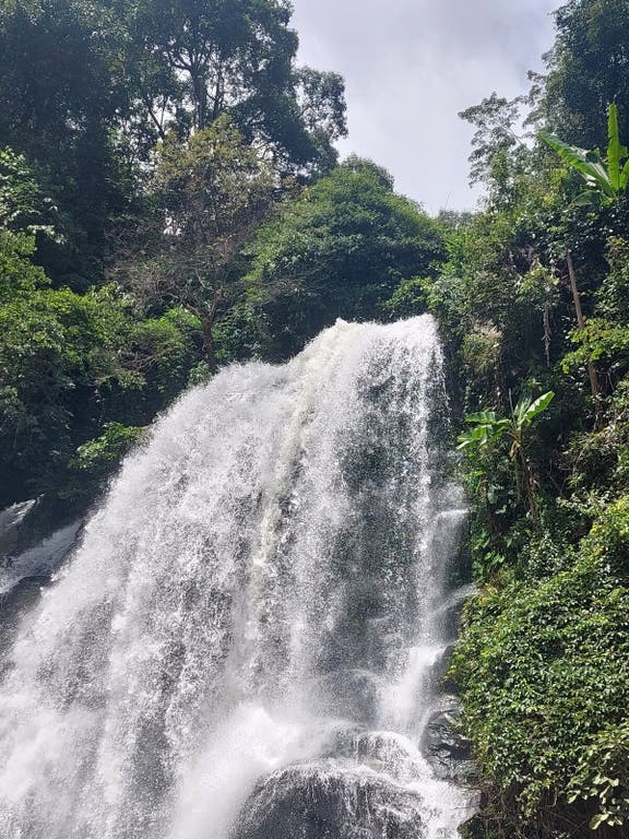 Spring water fall stock photo. Image of green, fall - 369766854