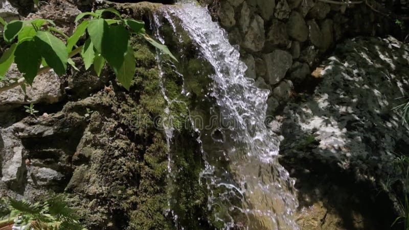 Slow Motion Spring Water Flow Stock Video - Video of flowing, forest ...