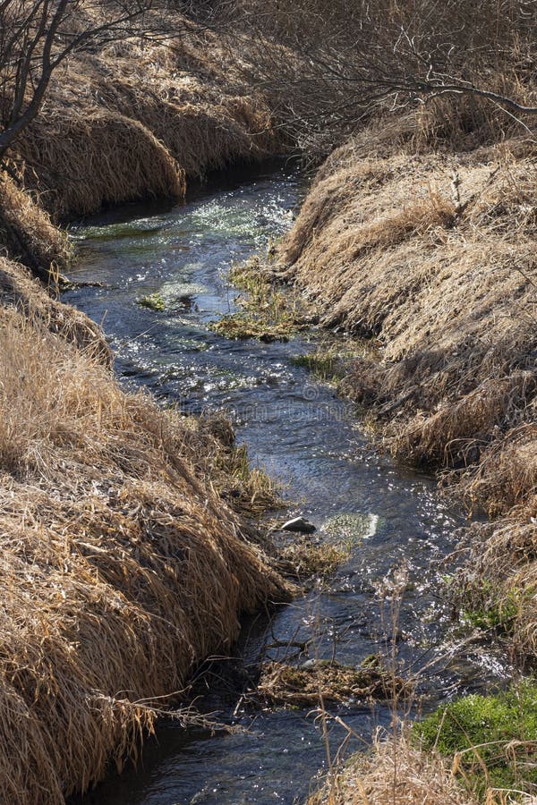 Spring Water Flowing through a Creek Landscape with Brown Herbs in the ...