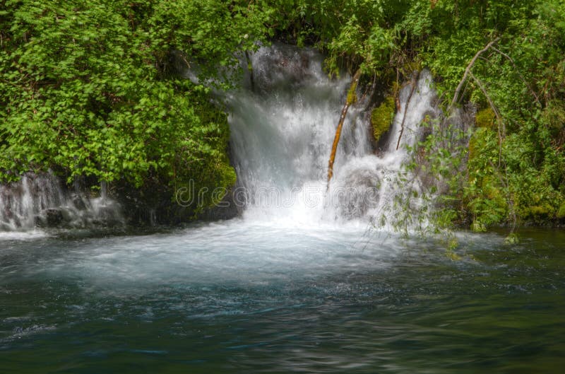 Spring Water Flowing into a River in Oregon Stock Photo - Image of ...