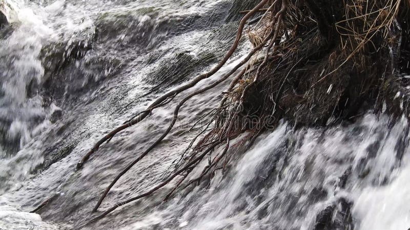 Spring Water Flowing from the River in Swedish Waterfalls. Stock ...