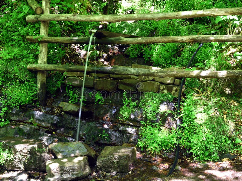 Spring stock photo. Image of nature, green, flowing, clean - 54645016