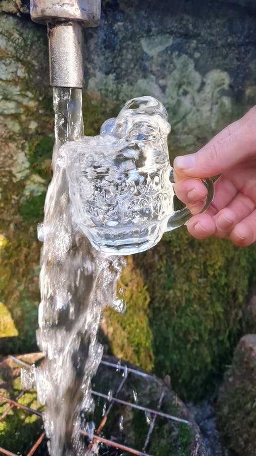 Spring Water Flows with a Large Stream from a Pipe into a Glass Held by ...