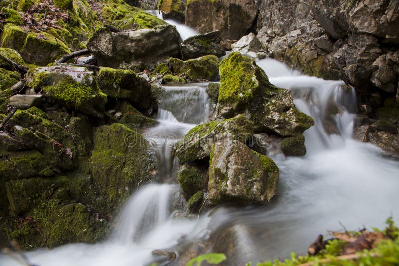 Spring Water stock image. Image of running, scenics, stream - 50794215