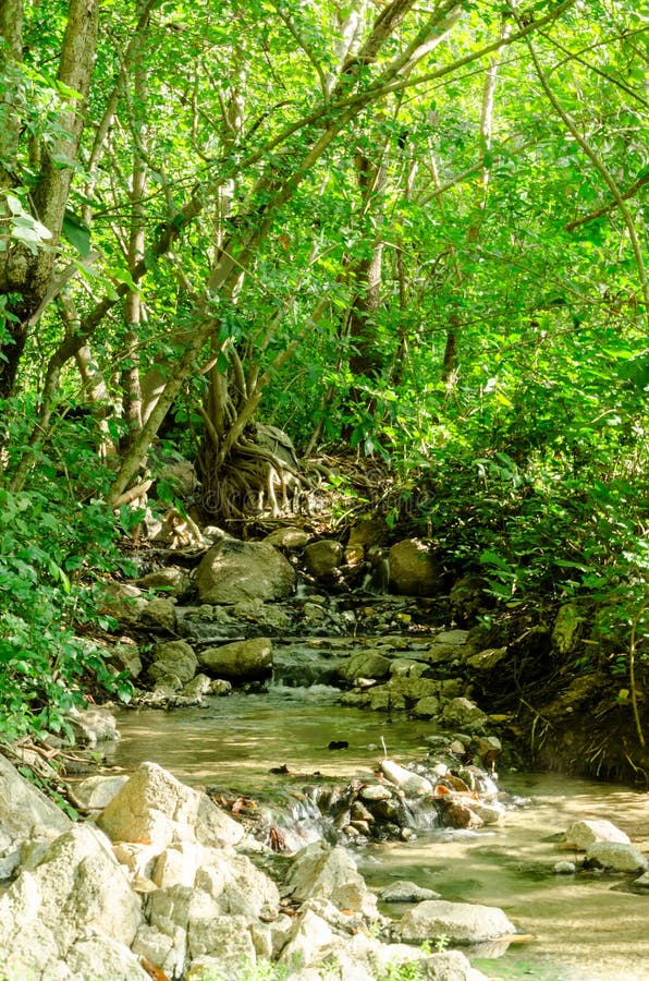 Spring water stock image. Image of city, natural, life - 81820951