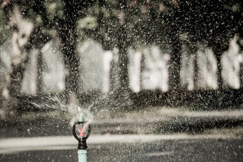 Spring Drizzle on Stream, Bright Green Grass, and Pink Budding Flowers ...