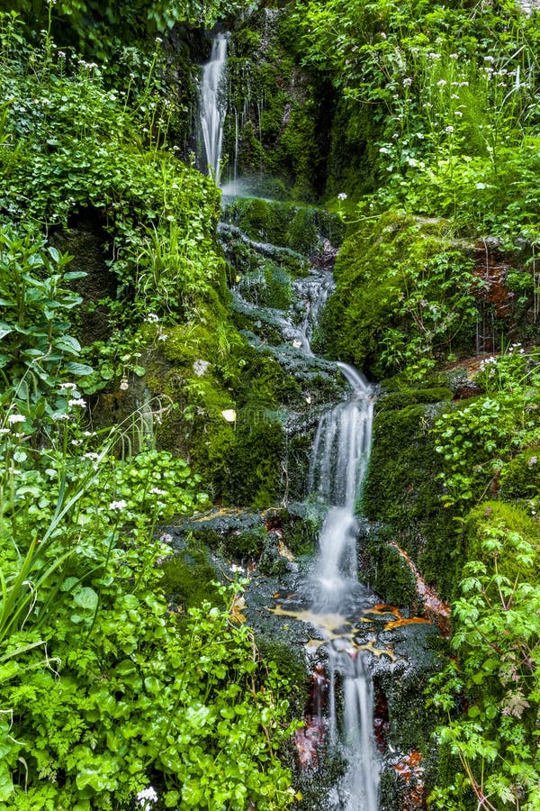 Spring Water in green moss stock photo. Image of source - 150587356
