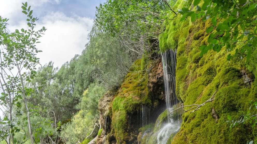 Spring of Water in Karstic Rock, Small Waterfall in a Green Environment ...