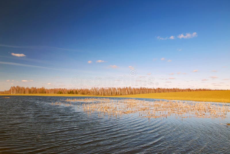 Spring. Water Landscape on a Blue Sky. Stock Image - Image of ...