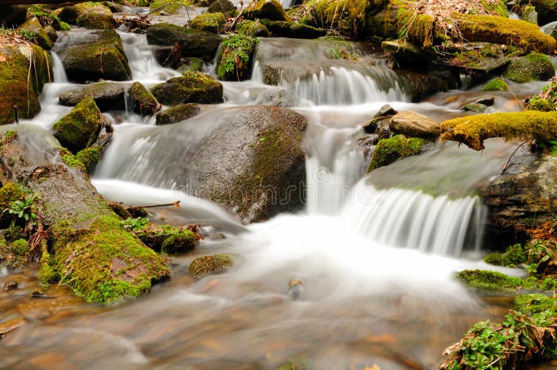 Spring Water on a Mountain Creek Stock Image - Image of peace, north ...