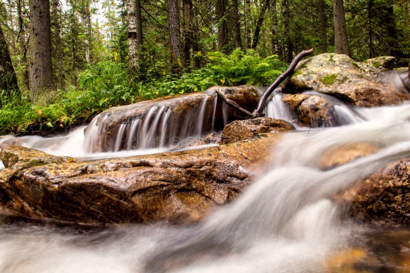 Spring Water of a Mountain Creek Stock Photo - Image of creek, nature ...
