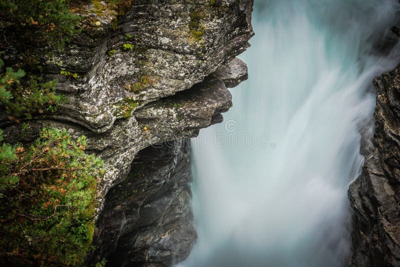 Spring Water Mountain Stream Stock Photo - Image of water, spring ...