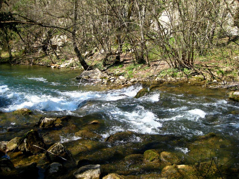 Spring Water in Mountains of Crimea Stock Photo - Image of stream ...