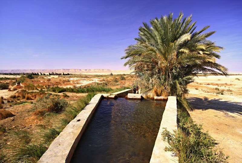 Spring of Water Near Dakhla Oasis Stock Image - Image of flow, rock ...