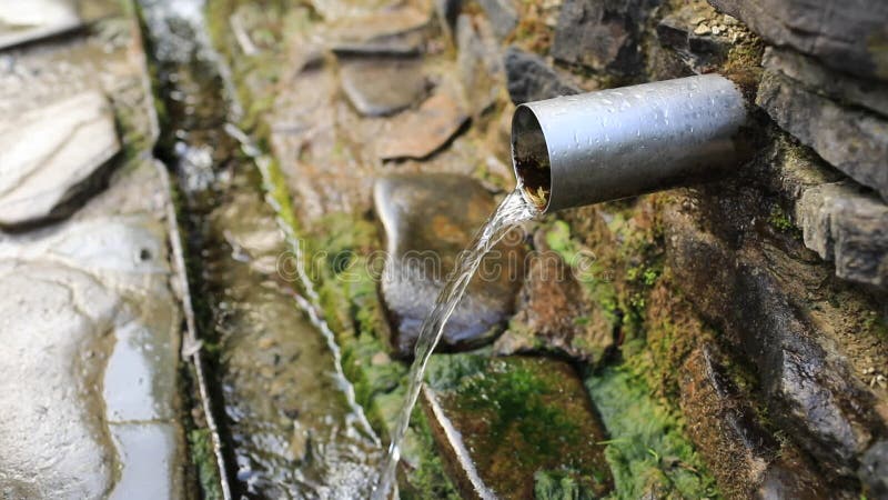 Spring Water Pouring from a Metal Pipe from a Stone Wall in the Woods ...