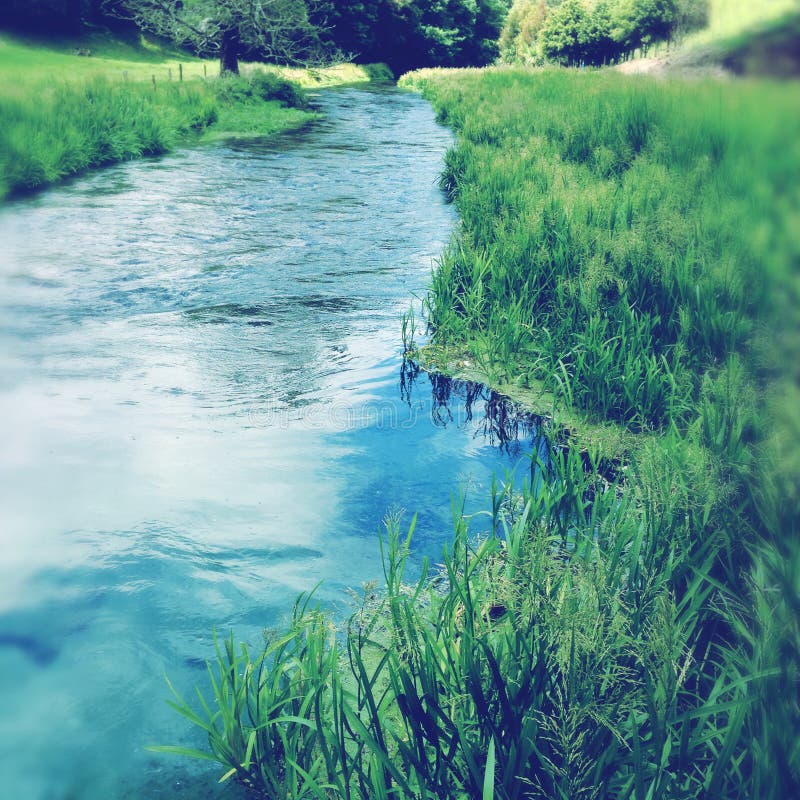 Spring water stock photo. Image of river, purity, flow - 48385900