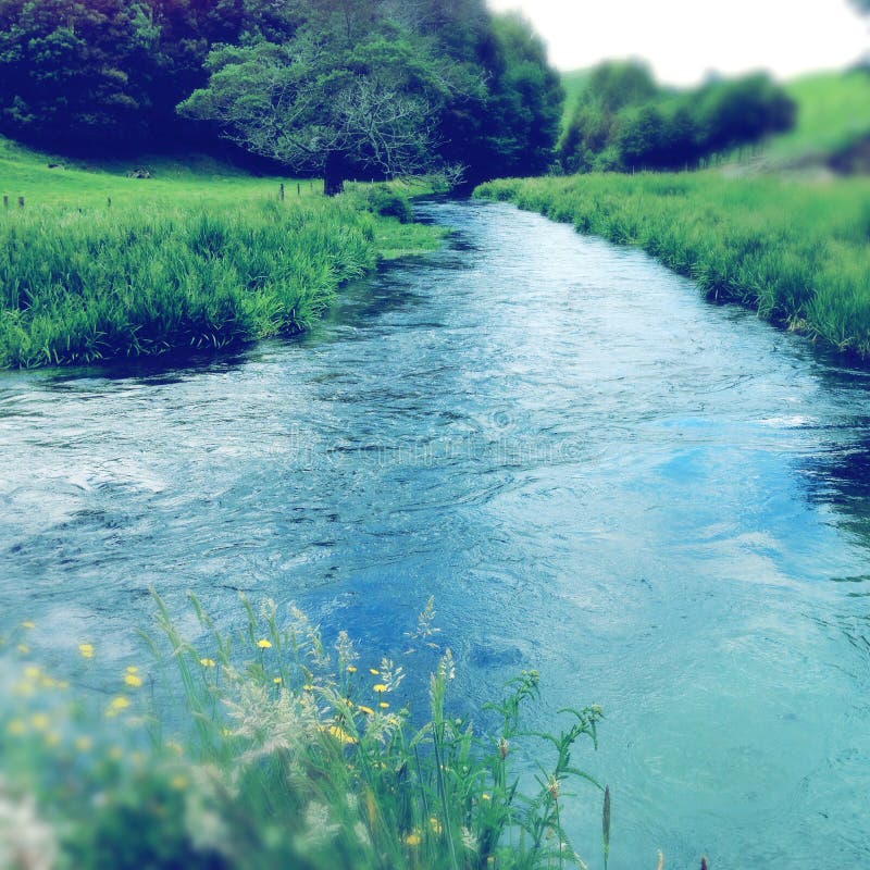 Spring water stock image. Image of flowing, water, forest - 48610427