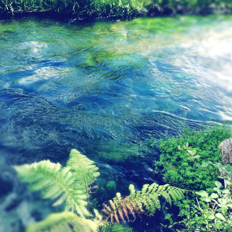 Spring water stock photo. Image of clean, brook, spring - 48682380