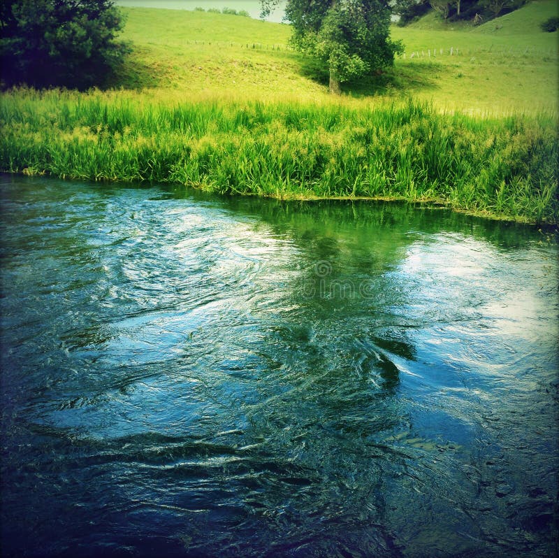 Spring water stock image. Image of tranquil, grass, creek - 49109221