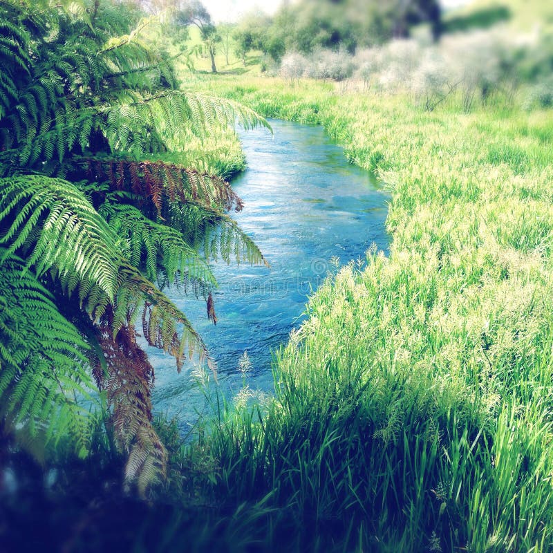 Spring water stock photo. Image of flowing, spring, pure - 49278868