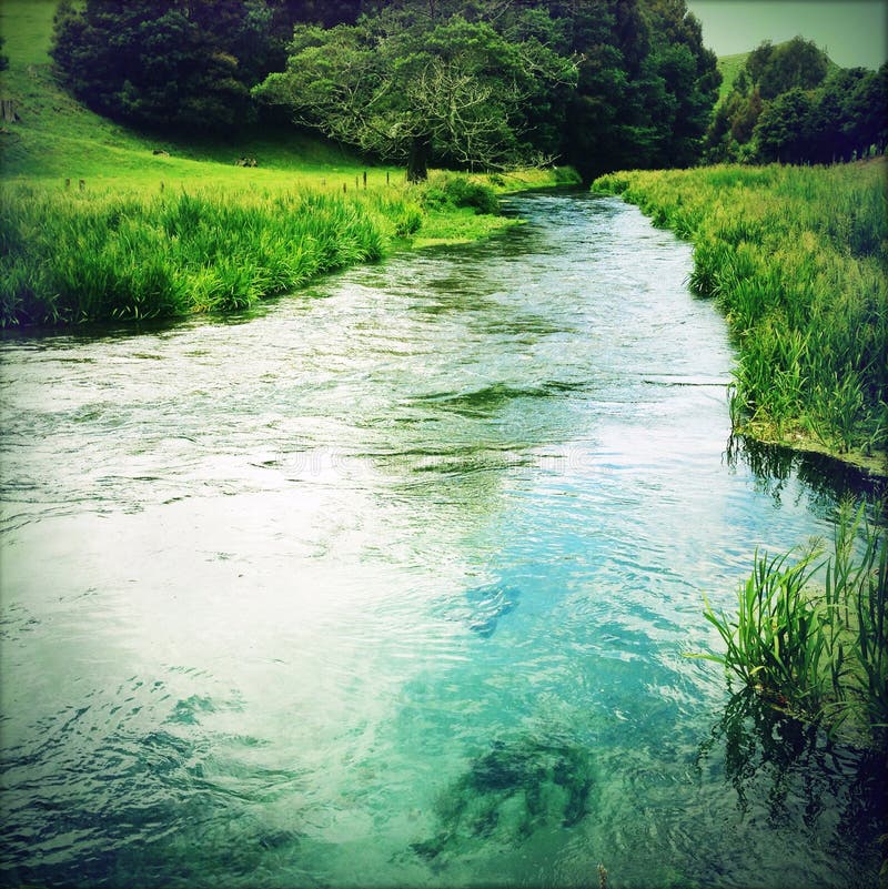 Spring water stock image. Image of grass, water, flowing - 49763535