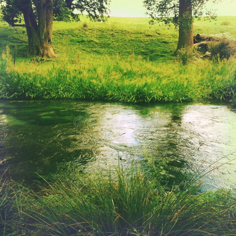 Spring water stock image. Image of grass, fresh, landscape - 50403039