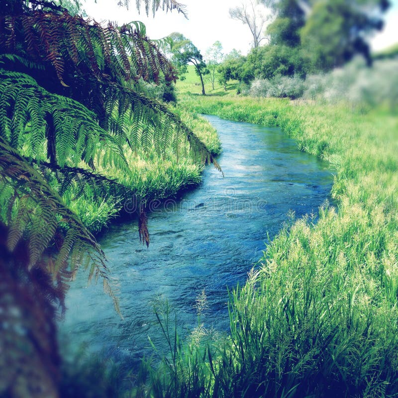 Spring water stock image. Image of flow, summer, creek - 51017267