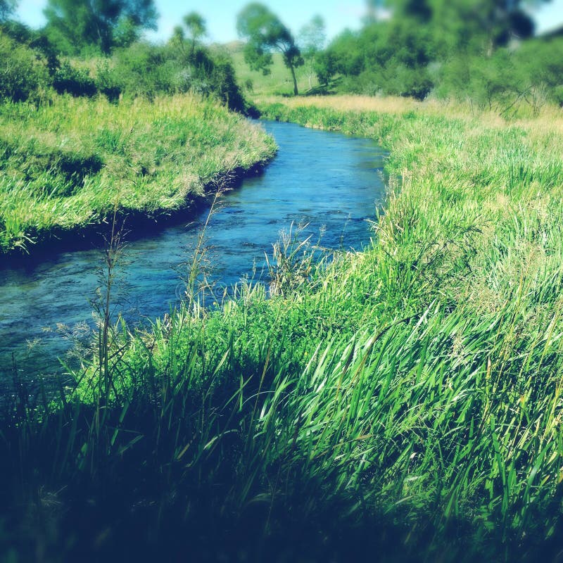 Spring water stock photo. Image of clean, stream, grass - 51162042