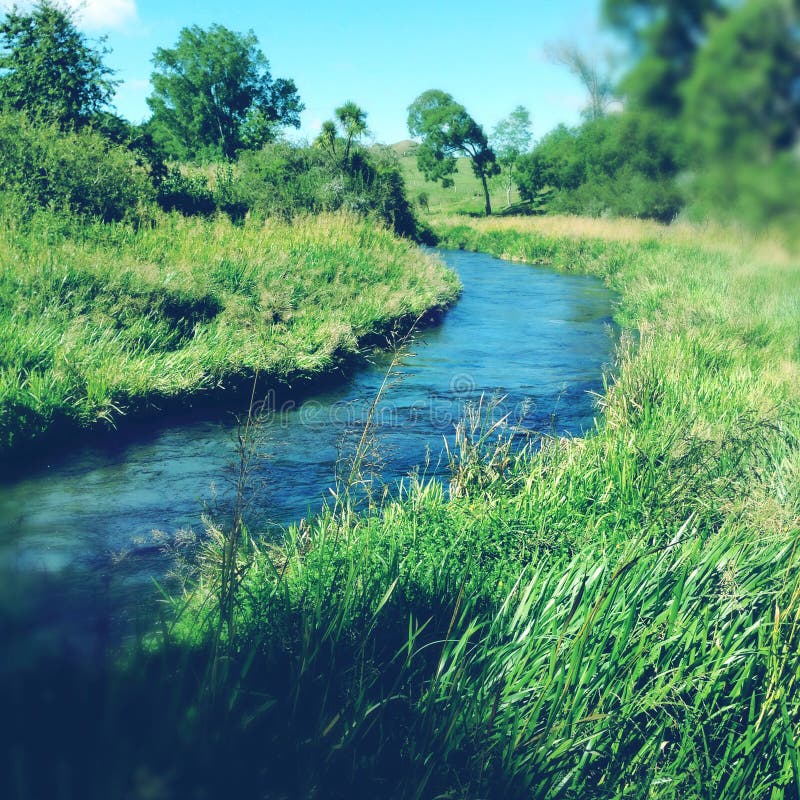 Spring water stock photo. Image of green, landscape, pure - 51345316
