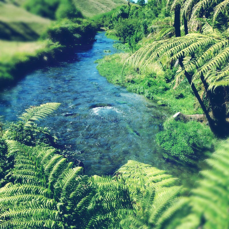 Spring water stock image. Image of pure, landscape, clean - 51806147