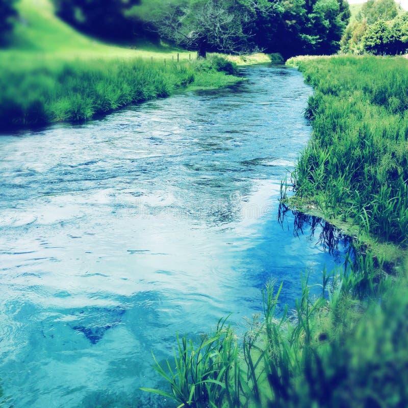 Spring water stock image. Image of green, environment - 52211349