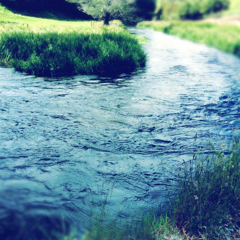 Spring water stock photo. Image of summer, nature, spring - 53170112