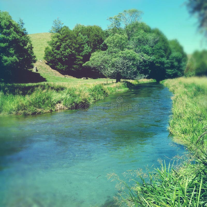 Spring water stock photo. Image of brook, motion, nature - 53375918