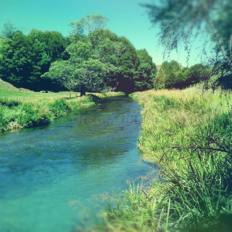 Spring water stock image. Image of clean, stream, outdoors - 53484801