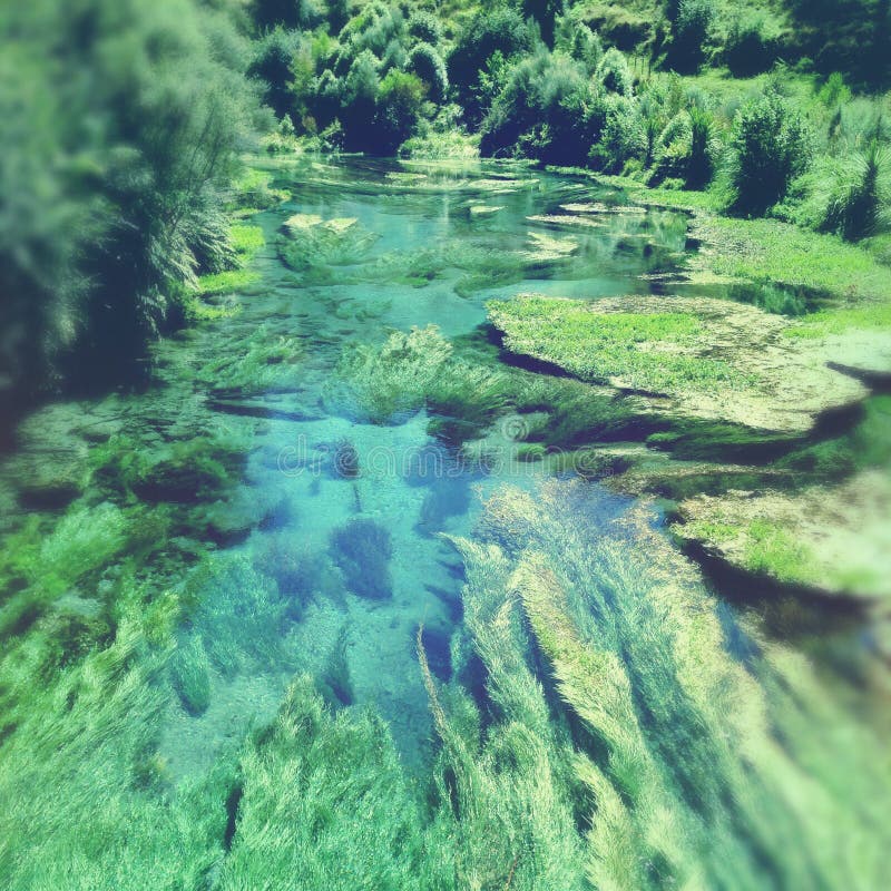 Spring water stock image. Image of stream, tranquil, purity - 54339717